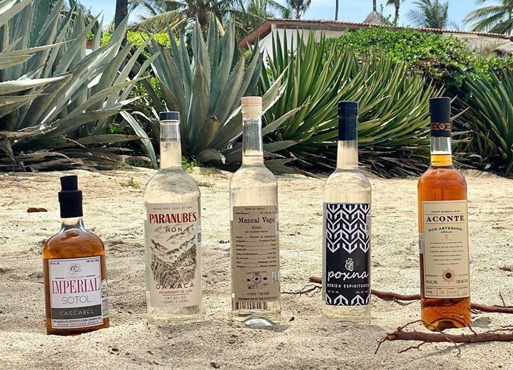 PACHUCO – VINOS LICORES MEZCAL TEQUILA